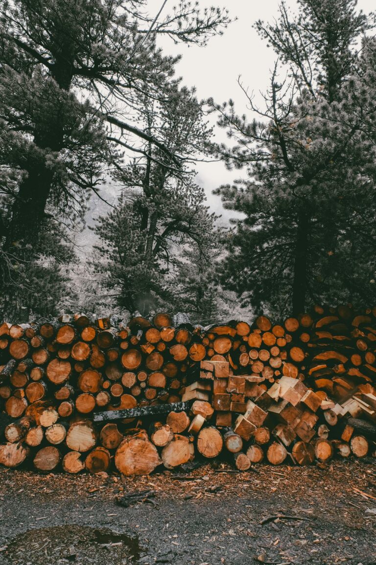 EU Deforestation Regulation (EUDR) 2026 Update: New Deadlines for ...